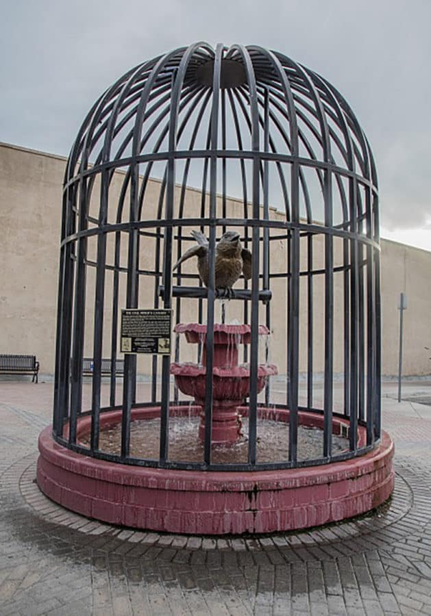 A Beautiful Canary Signals That Climate Is a Monumental Issue